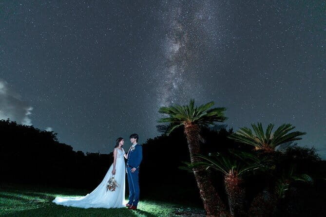 March-JunePrivate Firefly Viewing & Stargazing tour - A Close Look at the Tour Experience
