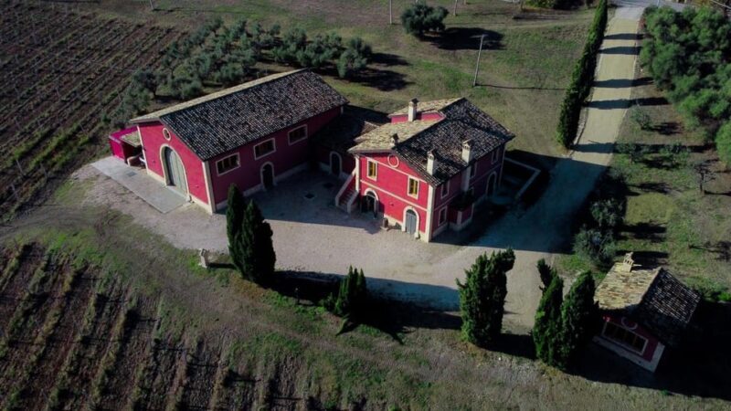 Marche: Tasting and Tour of Local Wines and Tastes at D'Erasmo Winery - A Genuine Look at the Experience