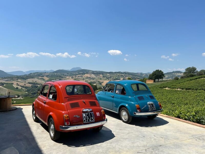Marche: Tour in vintage Fiat 500 around Verdicchio hills - Key Points