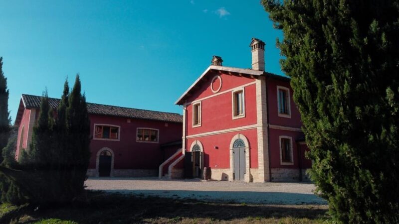 Marche: unique visit and tasting at D'Erasmo Winery among signature wines - An Inner Look at the D’Erasmo Winery Tour
