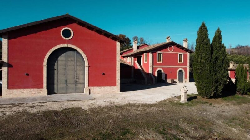 Marche: unique visit and tasting at D'Erasmo Winery among signature wines - Why This Tour Stands Out