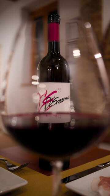 Marche: unique visit and tasting at D'Erasmo Winery among signature wines - FAQs