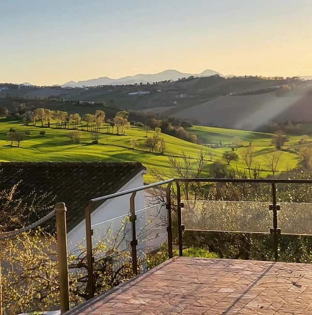 Marche Wines: Explore the Richness of Local Flavors - Key Points