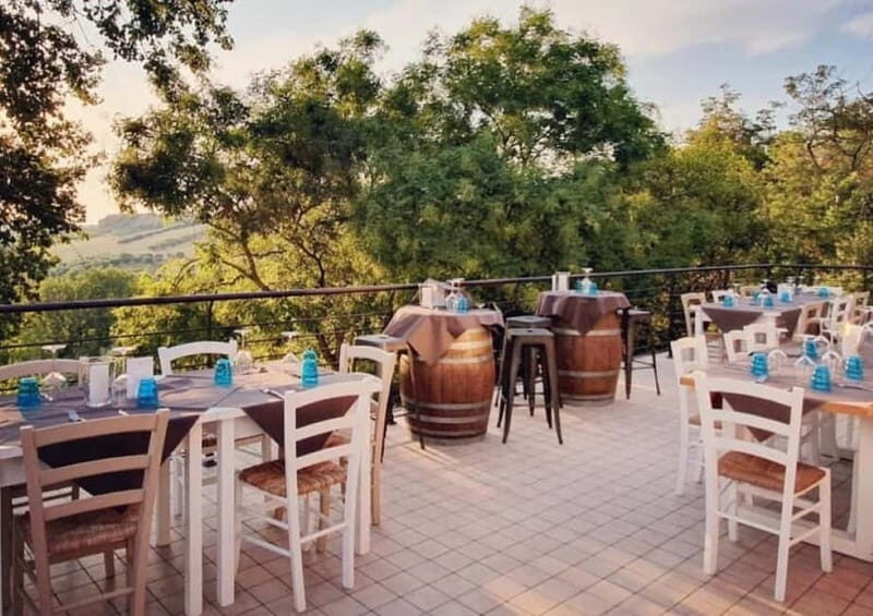 Marche Wines: Explore the Richness of Local Flavors - Pricing and Value