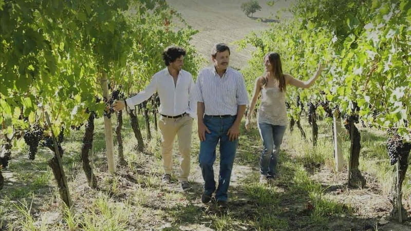 Marche Wines: Explore the Richness of Local Flavors - FAQ