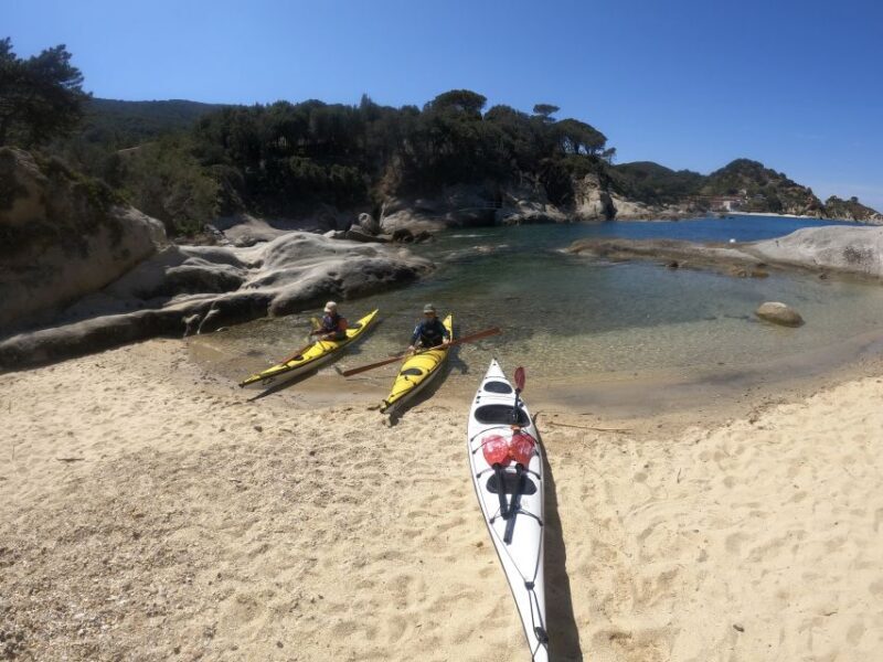 Marciana Marina: Elba Island Full-Day Kayaking Tour - The Equipment and Safety