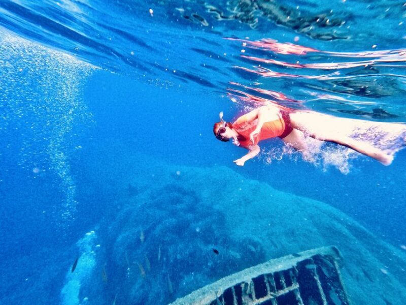 Marciana Marina: Elba Island Full-Day Kayaking Tour - Value for Money