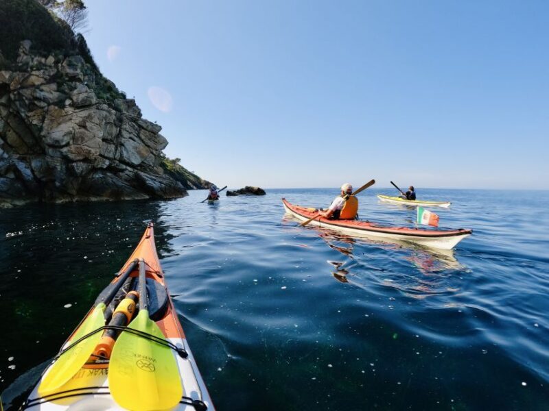 Marciana Marina: Elba Island Full-Day Kayaking Tour - Authentic Experience & Authenticity