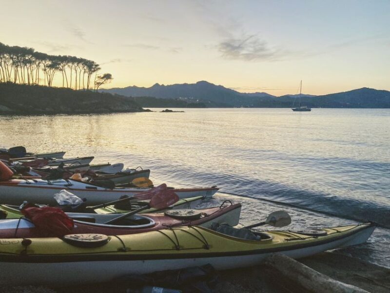 Marciana Marina: Evening Sea Kayaking Tour with Swim Stop - Final Thoughts