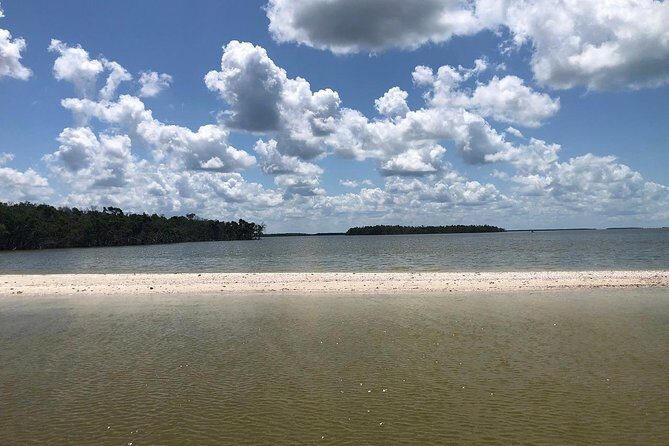 Marco Island 2 hour Dolphin, Birding and Shelling tour - Why This Tour Works Well