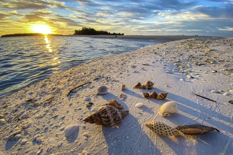 Marco Island: 2 Private Hour Sunset Boat Tour - Frequently Asked Questions