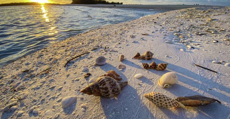 Marco Island: 2 Private Hour Sunset Boat Tour - A Deep Dive into the Sunset Boat Experience