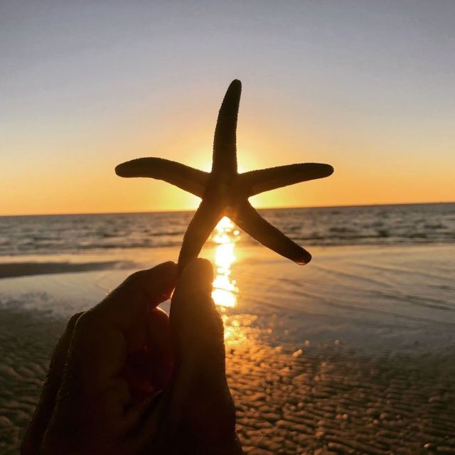 Marco Island: 2 Private Hour Sunset Boat Tour - The Sum Up
