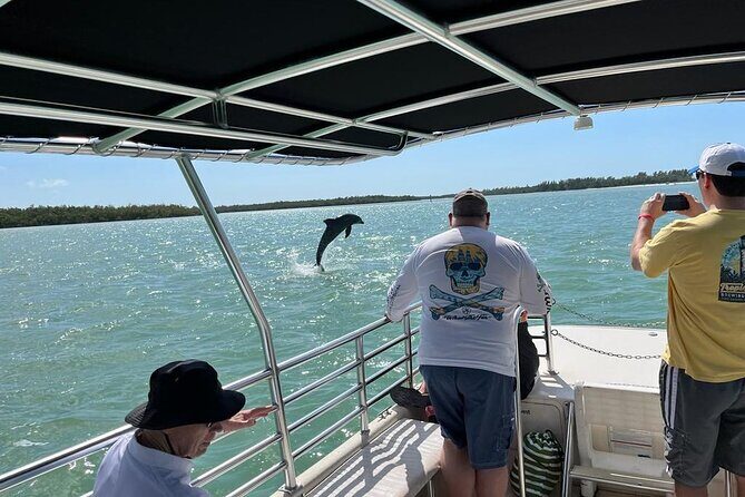 Marco Island Dolphin Sightseeing Tour - Who Will Love This Tour?