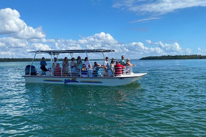 Marco Island Dolphin Sightseeing Tour - The Sum Up
