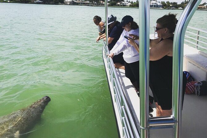 Marco Island Dolphin Sightseeing Tour - FAQ
