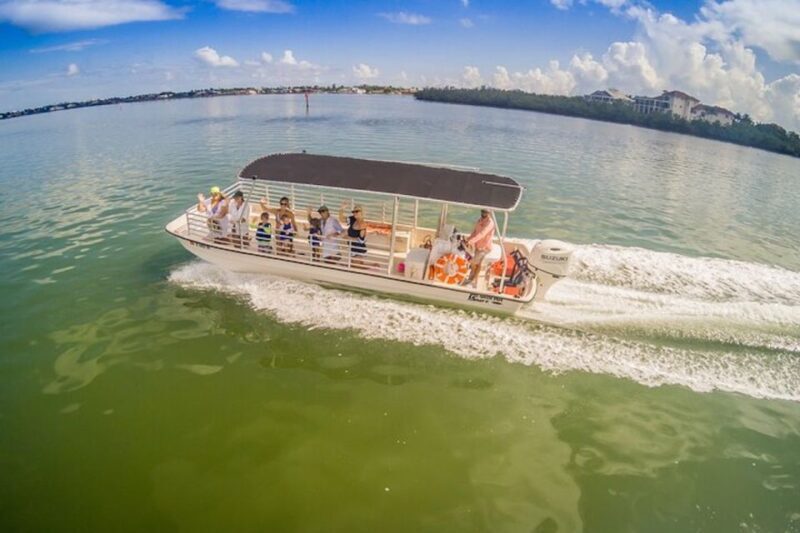 Marco Island: Dolphin-Watching Boat Tour - An Authentic Look at the Tour Experience