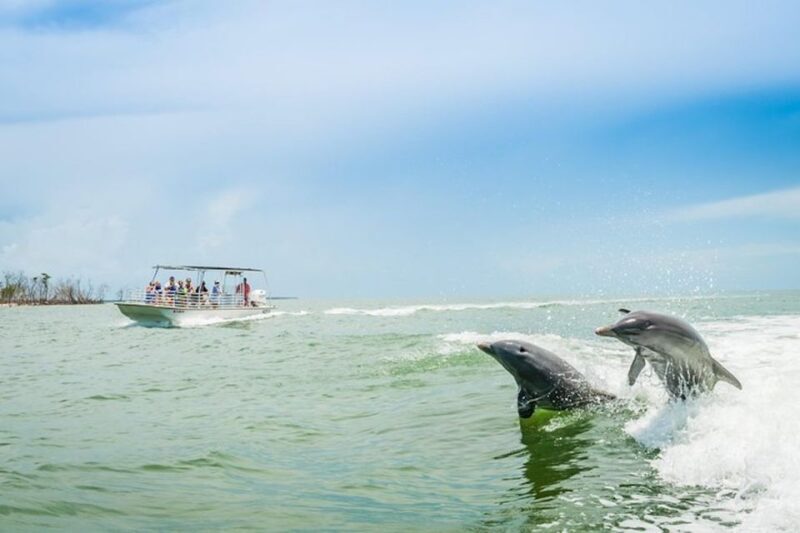 Marco Island: Dolphin-Watching Boat Tour - Who Will Love This Tour?