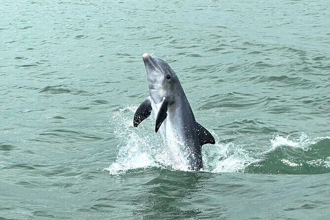 Marco Island Dolphin Watching & Tubing Adventure - Who Should Consider This Tour?