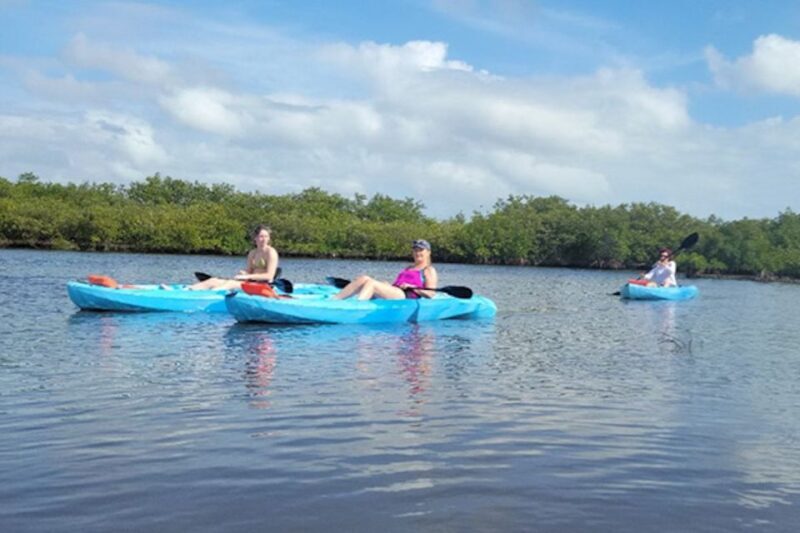 Marco Island: Guided Manatee-Watching Kayaking or SUP Tour - The Sum Up