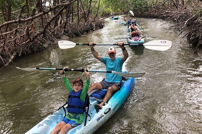 Marco Island: Kayak Mangrove Ecotour in Rookery Bay Reserve - Key Points