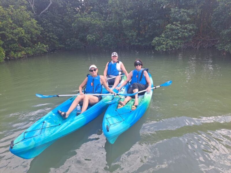 Marco Island: Kayak Mangrove Ecotour in Rookery Bay Reserve - Who Will Love This Tour?