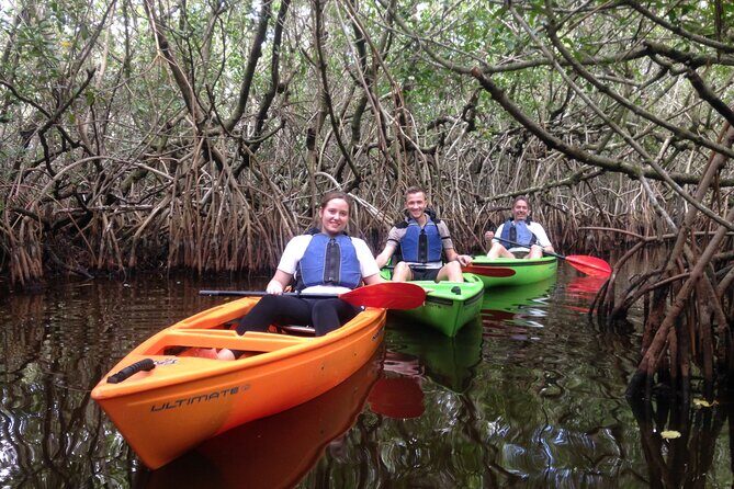 Marco Island Mangrove Tunnel and Maze Adventure Small group size - Key Points