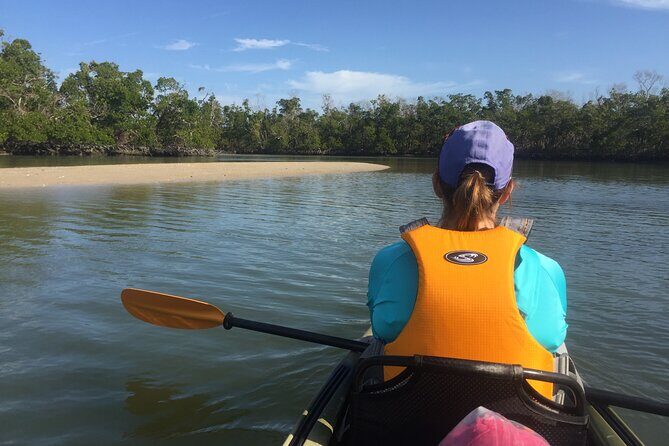 Marco Island Mangrove Tunnel and Maze Adventure Small group size - Why This Tour Stands Out