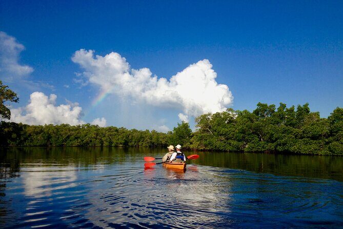Marco Island Mangrove Tunnel and Maze Adventure Small group size - The Experience in Action: What Travelers Say