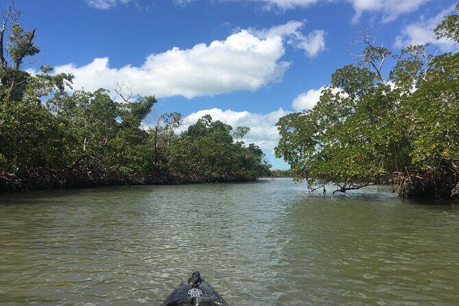 Marco Island Mangrove Tunnel and Maze Adventure Small group size - The Sum Up