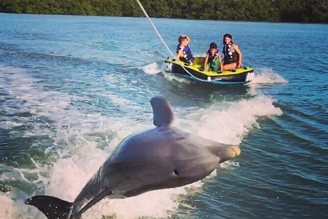Marco Island Private Tubing, Dolphin Watching and Shelling Tour - Key Points