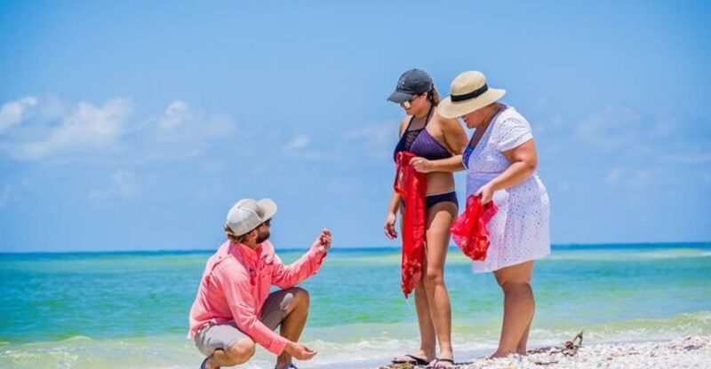 Marco Island: Shelling and Sightseeing Boat Cruise - Why This Tour Is Worth Considering