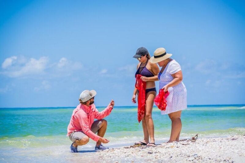 Marco Island: Shelling and Sightseeing Boat Cruise - Authentic Experiences and Real Feedback