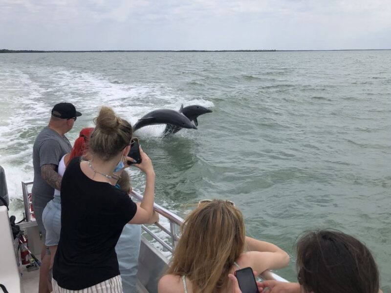 Marco Island: Ten Thousand Islands Shelling & Dolphin Tour - What to Expect During the Tour