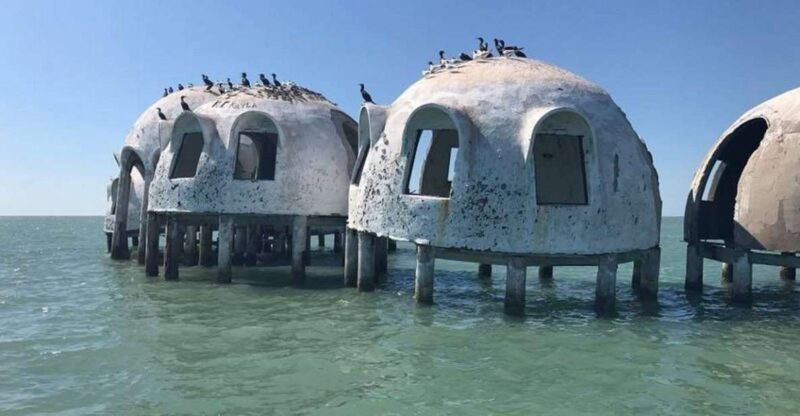 Marco Island: Ten Thousand Islands Shelling & Dolphin Tour - Practical Tips