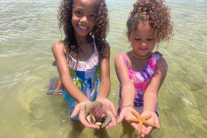 Marco Island Wildlife Sightseeing and Shelling Tour - What to Expect from the Tour