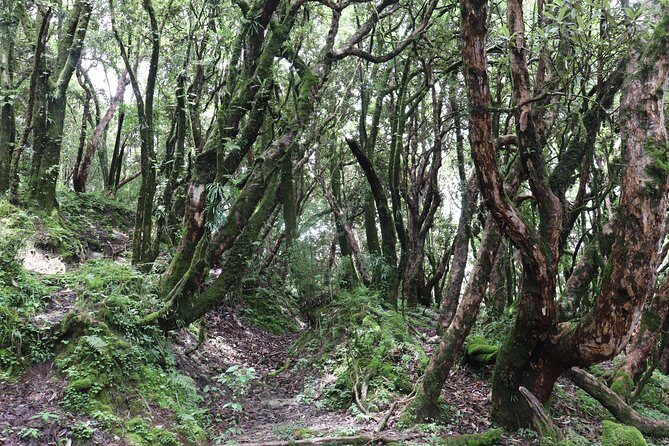 Mardi Himal Base Camp Trek (5 Days) - The Experience with Guides and Local Culture