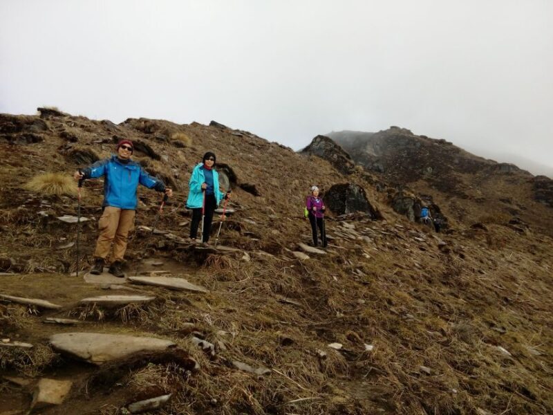 Mardi Himal Base Camp Trek from Pokhara - An Overview of the Mardi Himal Trek Experience