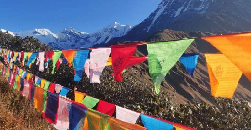 Mardi Himal Base Camp Yoga Trek 7-Day - A Look Beyond the Surface: What the Mardi Himal Yoga Trek Offers
