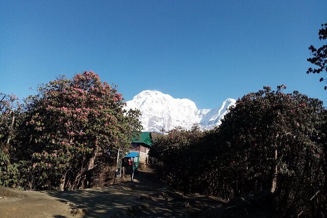 Mardi Himal Newly Discovered Trekking from Pokhara Nepal - Practical Considerations