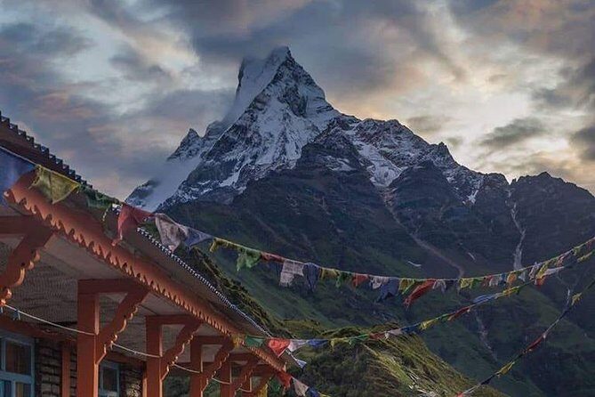 Mardi Himal Trek - Introduction: Is the Mardi Himal Trek Right for You?