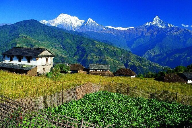 Mardi Himal Trek - Starting in Kathmandu and Moving to Pokhara