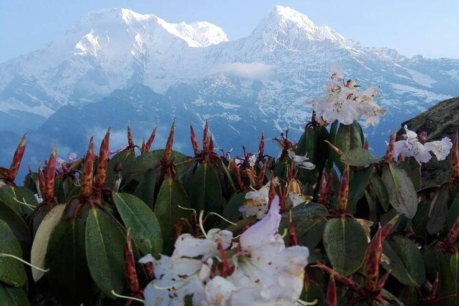 Mardi Himal Trek - 12 Days - The Itinerary in Detail