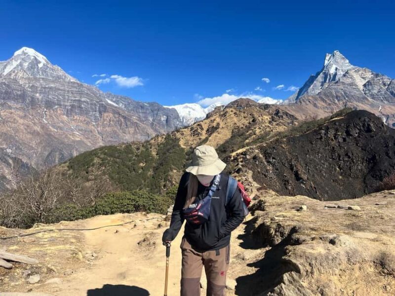 Mardi Himal Trek - Key Points