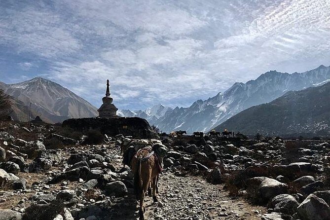 Mardi Himal Trek - Who Should Consider This Trek?