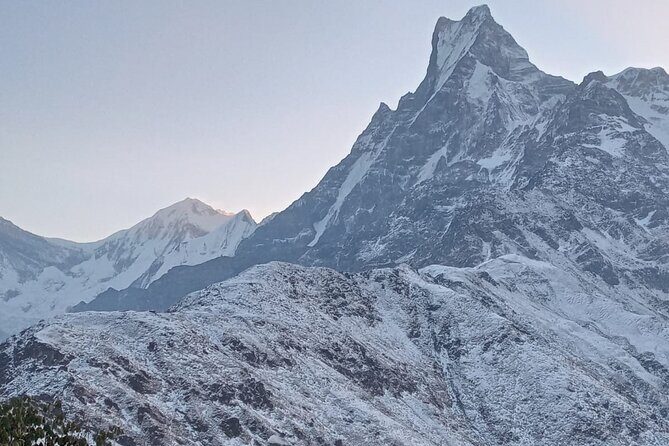 Mardi Himal Trek 4N-5D - An In-Depth Look at the Mardi Himal Trek Experience