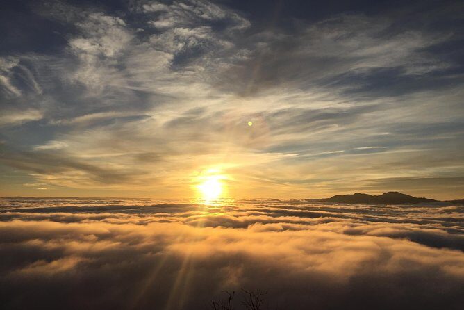 Mardi Himal Trek - 8 Days | Hidden Gem of the Annapurnas - What Travelers Say: Authentic Perspectives