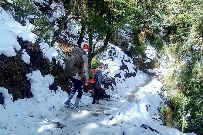 Mardi Himal Trek - Food and Accommodation: Comfortable and Authentic