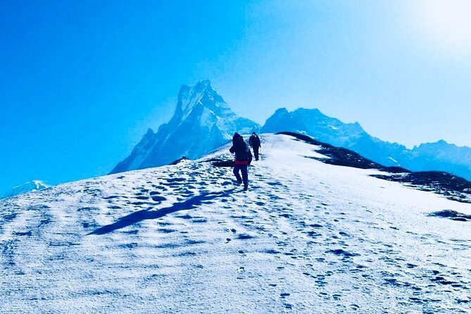 Mardi Himal Trek Fixed Departure (March 1,7; Nov 3,10,17 2023) - What the Trek Entails – A Detailed Breakdown