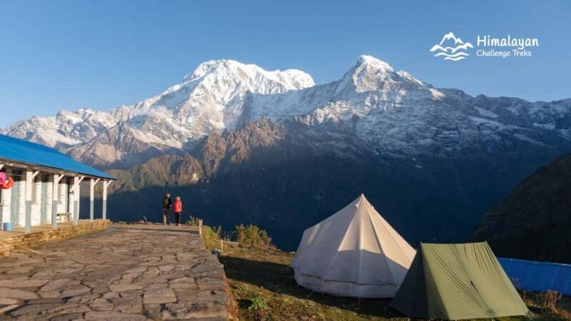 Mardi Himal Trek in 7 Days where Solitude Meets the Peak - An Honest Look at the Mardi Himal Trek